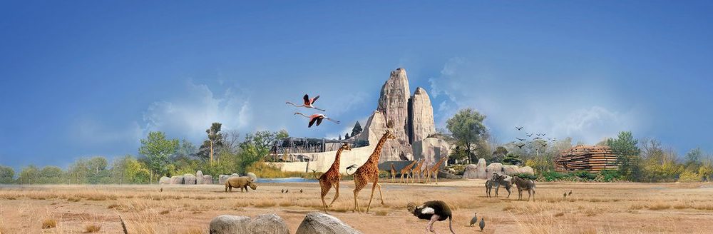 Paris Zoological Park • Come to Paris