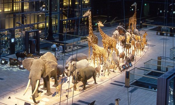 Grande Galerie de l'Évolution de Paris • Informations, Horaires et ...