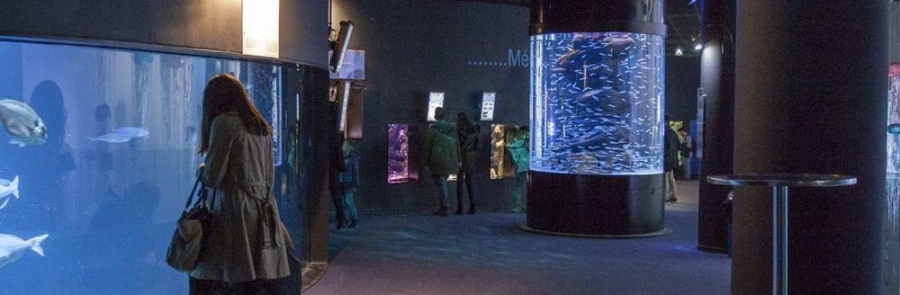 Aquarium de Paris au Trocadéro • Visite et billetterie • Come to Paris