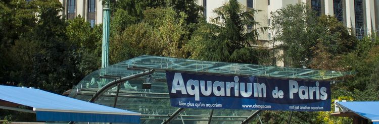 Aquarium of Paris • Opening hours, Prices and Booking • Come to Paris