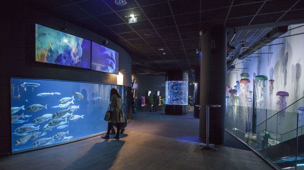 Aquarium of Paris • Opening hours, Prices and Booking • Come to Paris